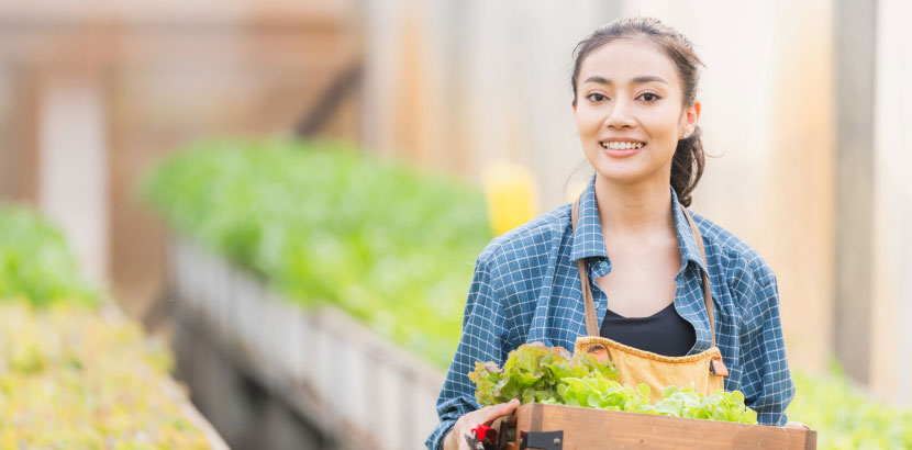 Downloads - MYOB Support